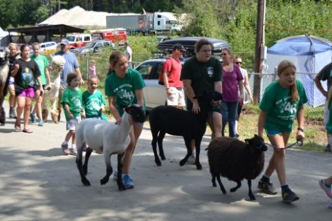 Sullivan County 4-H Exhibitor Handbook 2017 Cornish Fair | Extension